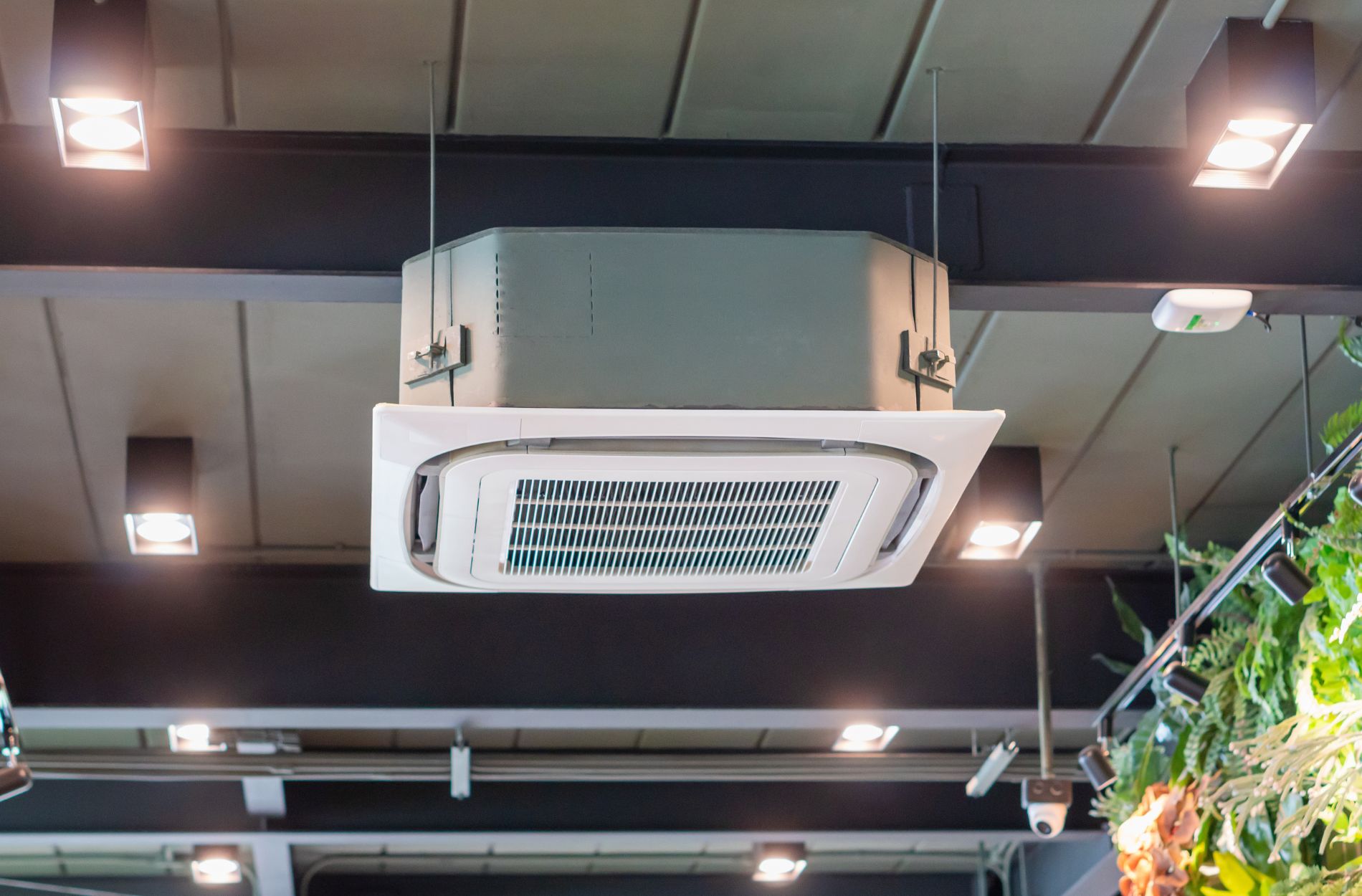 Professional HVAC Solutions for Light Commercial Spaces